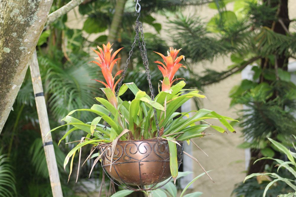 CASA CAPRONA - Updated August 2025 - 19 Photos - 2605 St Lucie Blvd ...