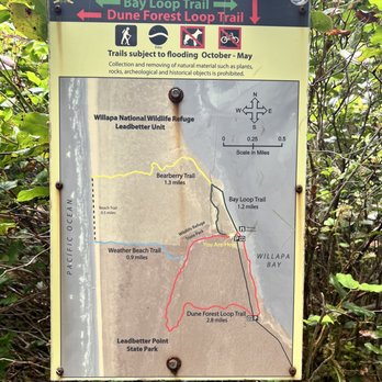 LEADBETTER POINT STATE PARK - Updated October 2025 - 40105 Stackpole Rd ...