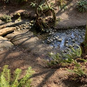 LAKE TRASK TIMBER TRAILS ASSOCIATION - Updated May 2025 - 15 Photos ...