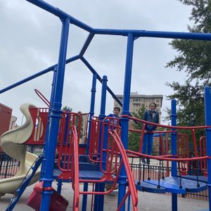 STEAD PARK - 25 Photos & 10 Reviews - 1625 P St NW, Washington ...