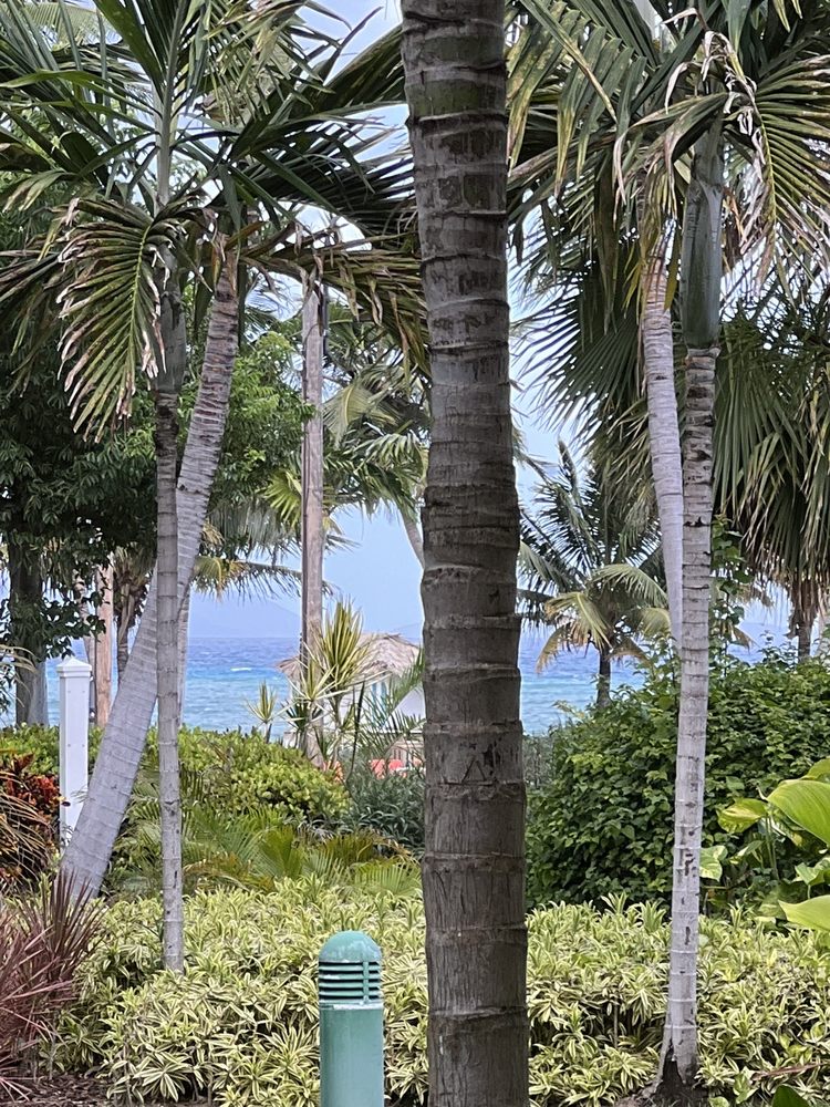 COKI DIVE CENTER - Updated December 2025 - 32 Photos & 47 Reviews - C-1 ...