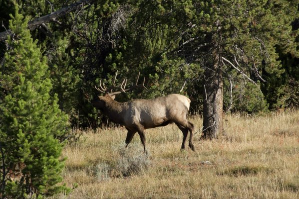 KARST STAGE - Updated January 2026 - 15 Photos & 36 Reviews - 511 N ...