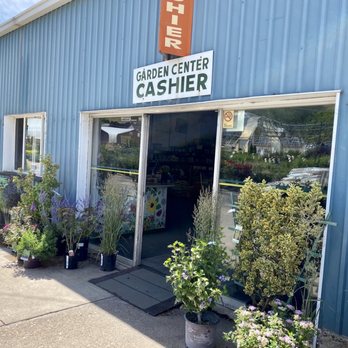 VALLEY NURSERY - Updated September 2025 - 48 Photos & 31 Reviews - 6484 ...