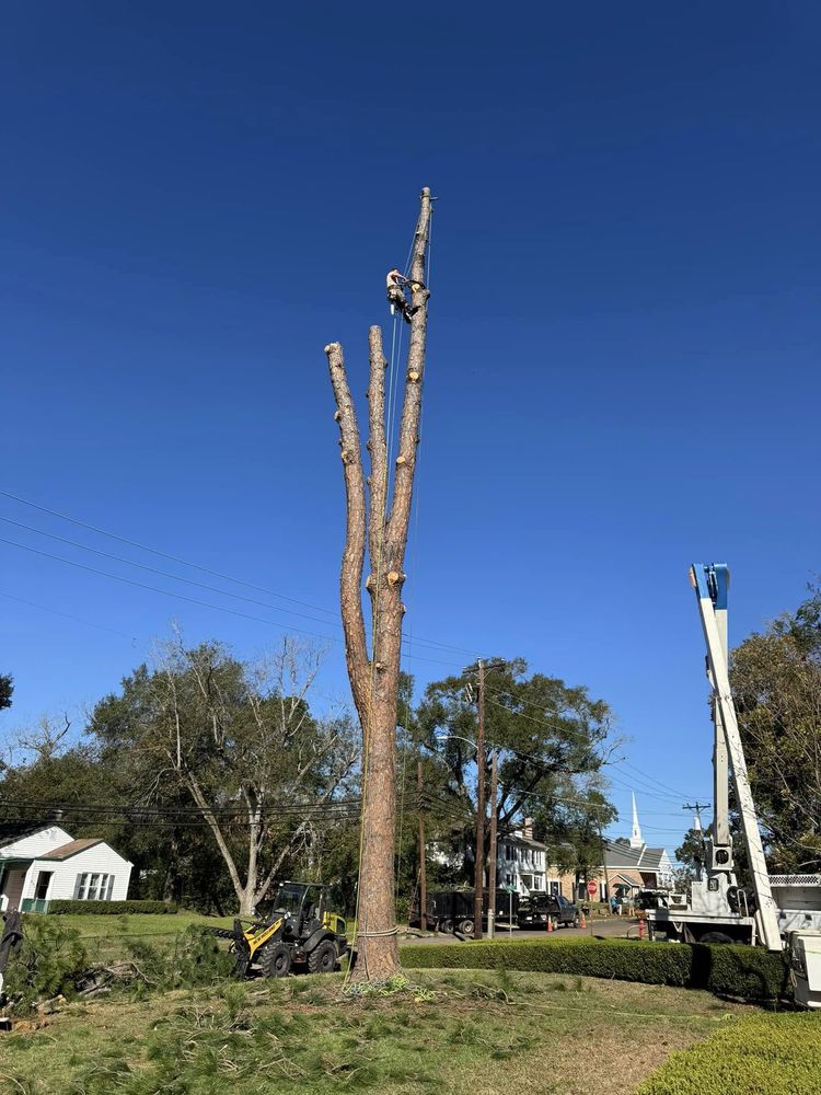EAST TEXAS TREE SERVICE - Updated October 2025 - P.O. Box 1358, Latexo ...