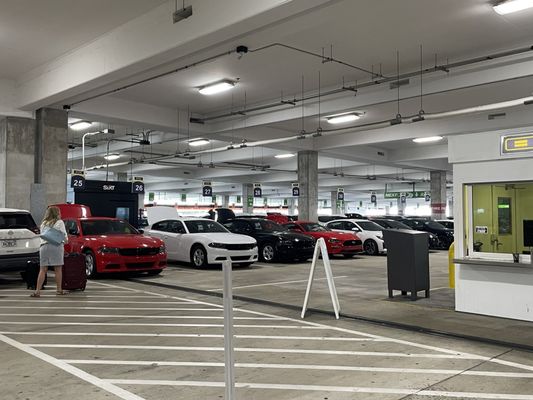 FOX RENT A CAR - Updated March 2025 - 86 Photos & 532 Reviews - 5405 ...