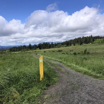POWELL BUTTE NATURE PARK - Updated January 2026 - 358 Photos & 80 ...