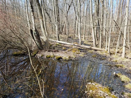 FOWLER WOODS STATE NATURE PRESERVE - Updated May 2025 - 12 Photos ...