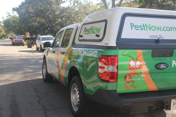 PESTNOW - Updated May 2026 - 103 Photos & 260 Reviews - 22395 Powers Ct ...