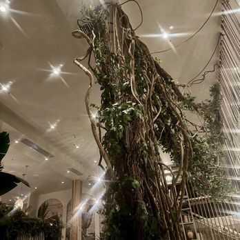 COPRA - Updated September 2025 - 2446 Photos & 688 Reviews - 1700 ...