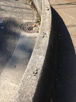 HOWE STREET STAIRS - 25 Photos & 23 Reviews - 810 E Howe St, Seattle ...