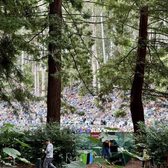 STERN GROVE FESTIVAL - Updated July 2025 - 354 Photos & 348 Reviews ...