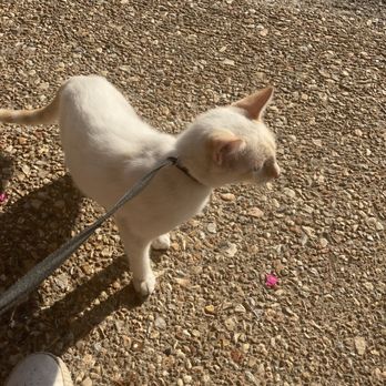 TULSA SPCA - Updated December 2025 - 22 Photos & 19 Reviews - 2910 ...