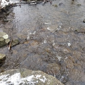 MASS AUDUBON BROAD MEADOW BROOK WILDLIFE SANCTUARY - Updated November ...