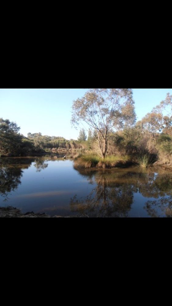 CANNING RIVER REGIONAL PARK - Updated January 2025 - Corner Of Kent St ...