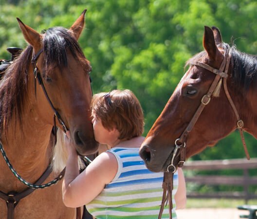 SCOTSGROVE STABLES - Updated December 2025 - 34 Photos - 851 Grand ...