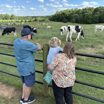 Book a Table - Howling Cow Dairy Education Center and Creamery ...