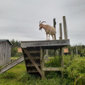 BERBERIAN’S FARM - Updated February 2025 - 15 Photos & 33 Reviews - 68 ...