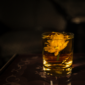 PROTOCOL - Updated October 2025 - 34 Photos & 42 Reviews - 1 E Pleasant ...