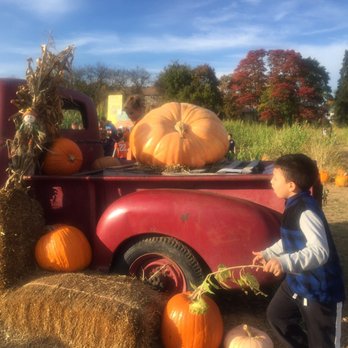 CONKLIN FARM U-PICK - TEMP. CLOSED - Updated December 2024 - 88 Photos ...