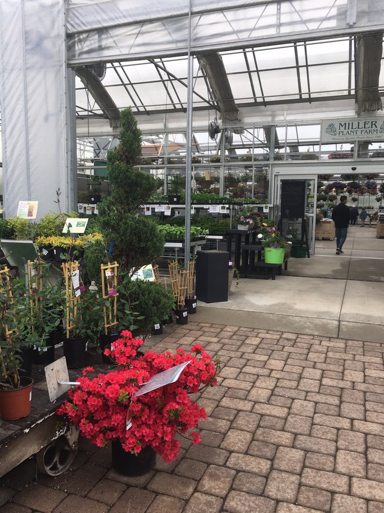 MILLER PLANT FARM - 20 Photos - Nurseries & Gardening - 430 Indian Rock ...