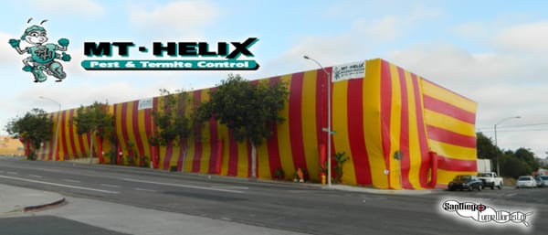 MT HELIX PEST & TERMITE CONTROL - Updated January 2026 - 12 Photos & 46 ...