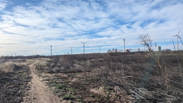 DUNBAR HISTORICAL LAKE PARK - Updated January 2026 - 11 Photos - 3204 E ...