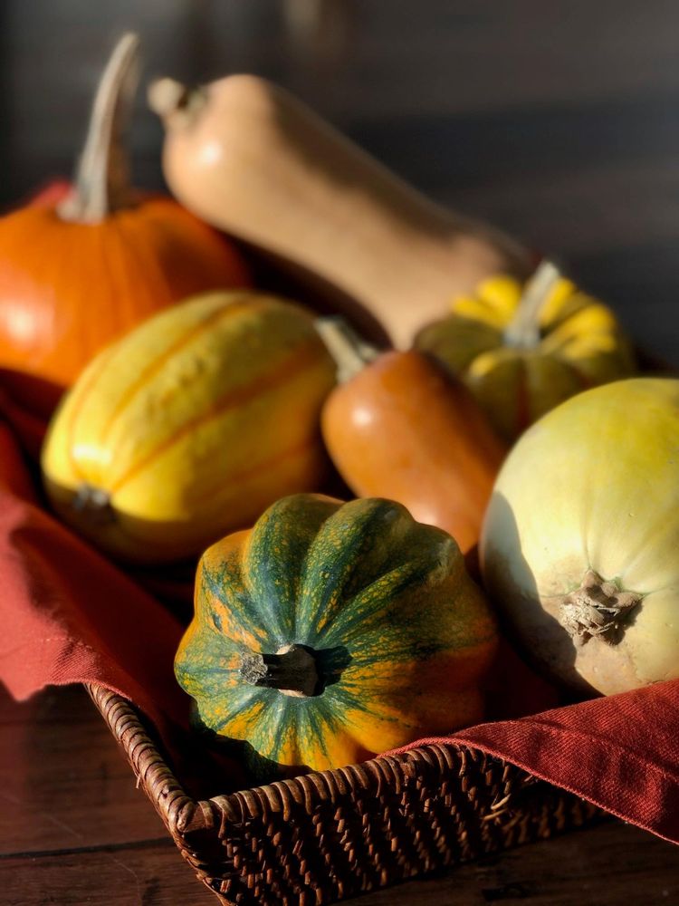 24 KARROT KITCHEN - Updated January 2026 - 298 Photos & 44 Reviews ...