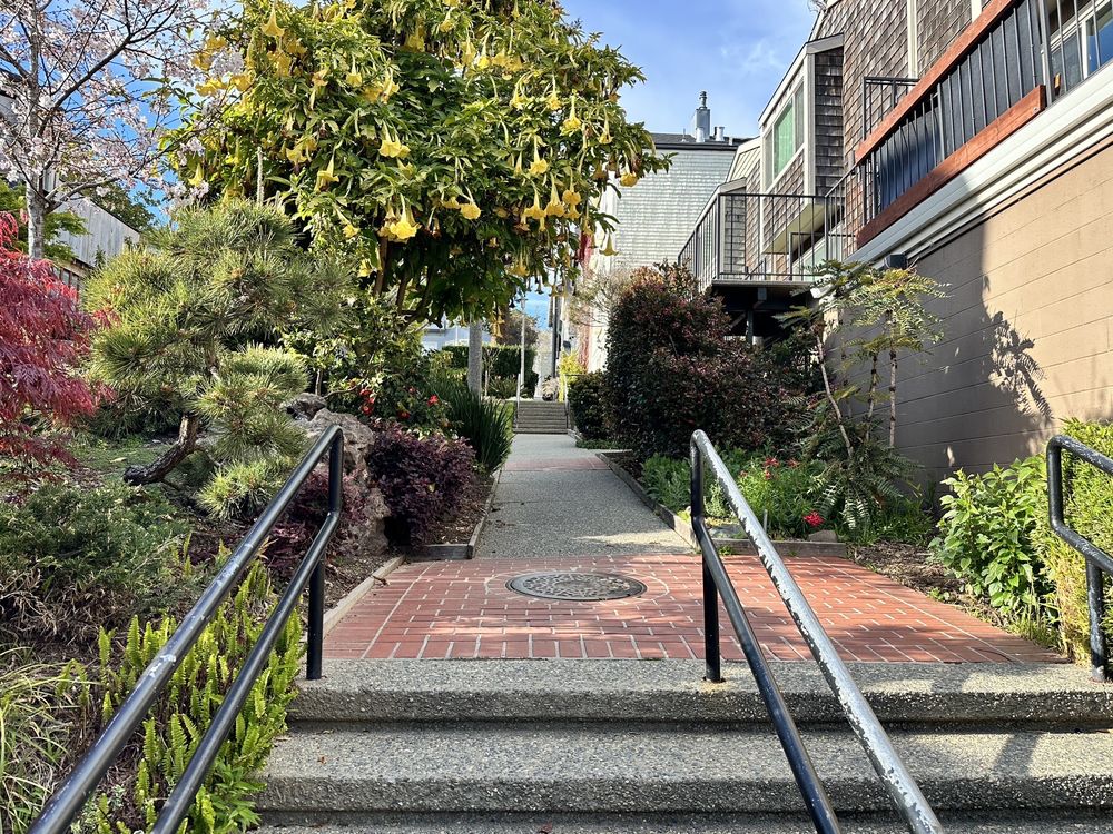 COTTAGE ROW - Updated May 2025 - 70 Photos & 12 Reviews - 1 Cottage Row ...