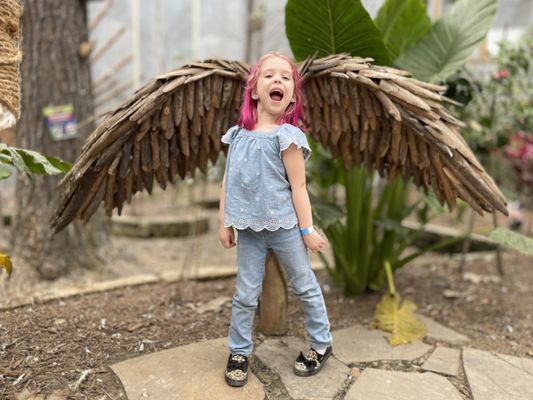 HOUSTON INTERACTIVE AQUARIUM AND ANIMAL ADVENTURE - Updated October ...