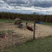 TRAX FARMS - 349 Photos & 81 Reviews - Fruits & Veggies - 528 Trax Rd ...