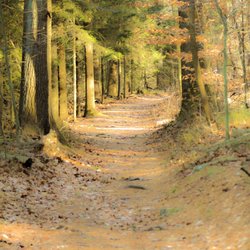 NOLDE FOREST ENVIRONMENTAL EDUCATION CENTER - 79 Photos - 2910 New ...