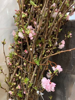 CALIFORNIA FLOWER SHIPPERS - 71 Photos & 38 Reviews - Florists - 538 W ...