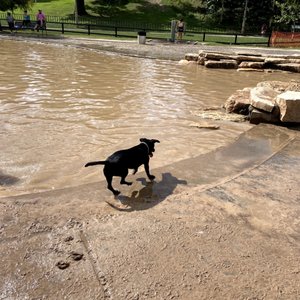 JOHNNY STEELE DOG PARK - 157 Photos & 132 Reviews - 2929 Allen Pkwy ...