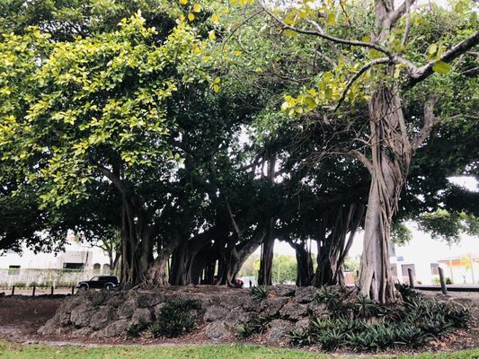 SCHENLEY PARK - Updated December 2025 - 15 Photos - 2750 SW 57th Ave ...