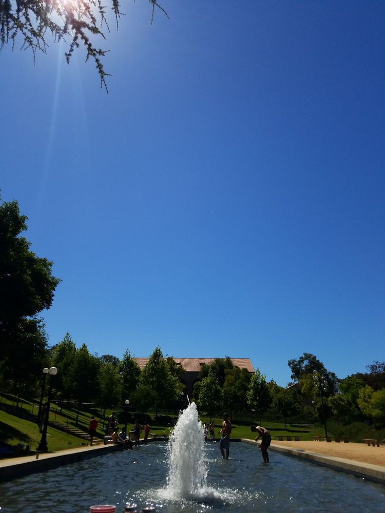 TERMAN PARK - Updated November 2025 - 380 Panama Mall, Stanford ...