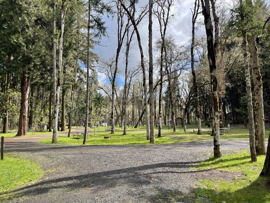 WHISTLER’S BEND PARK - Updated December 2025 - 18 Photos & 13 Reviews ...