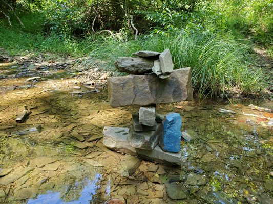 GREEN RIDGE STATE FOREST - Updated September 2024 - 120 Photos & 17 ...