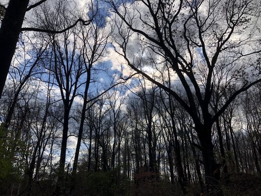 IRON HILL MUSEUM & SCIENCE CENTER - Updated December 2025 - 11 Photos ...