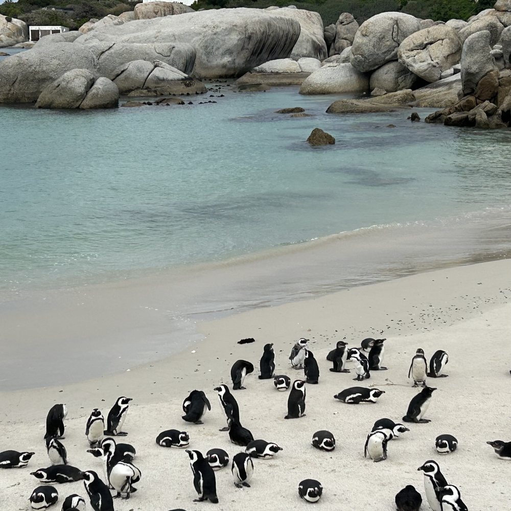 SHARON’S WORLD TRAVEL - Updated October 2024 - Contact Agent ...