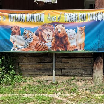 TIGERS FOR TOMORROW EXOTIC ANIMAL PRESERVE - Updated March 2026 - 160 ...