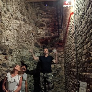 THE WASHOE CLUB - 489 Photos & 164 Reviews - Museums - 112 S C St ...