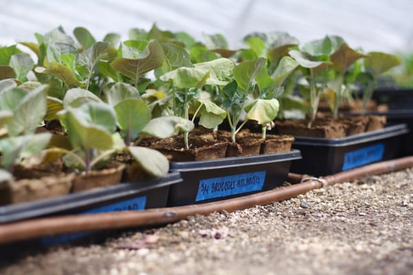 THE SKY FARM AT ESKENAZI HEALTH - Updated December 2025 - 125 Photos ...