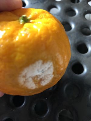 GODINEZ FUNDAMENTAL HIGH SCHOOL - Updated December 2025 - 10 Photos ...