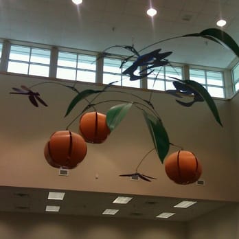 ORANGE COUNTY LIBRARY SYSTEM - WINTER GARDEN - Updated October 2025 ...