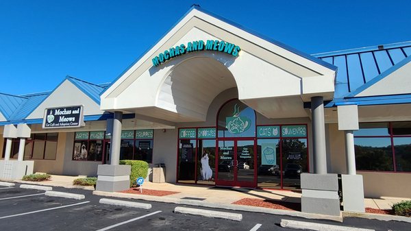 MOCHAS AND MEOWS - Updated October 2025 - 151 Photos & 91 Reviews ...