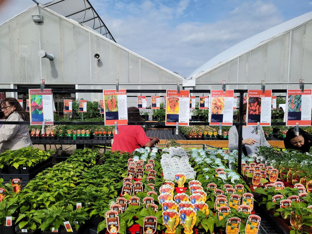 PESCHE’S FLOWERS - 139 Photos & 152 Reviews - 170 S River Rd, Des ...