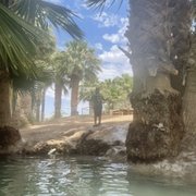 PALM CREEK RV RESORT AND PICNIC GROUNDS - 97 Photos & 32 Reviews - 3215 ...