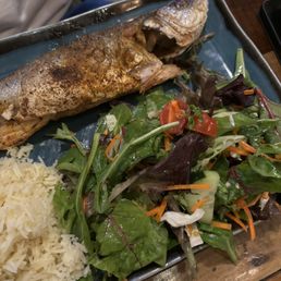 OCTOPUS KITCHEN - Updated December 2025 - 472 Photos & 289 Reviews ...