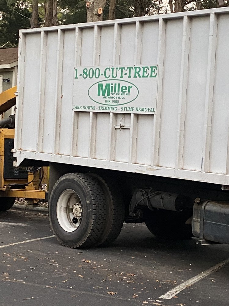 MILLER TREE SERVICE - 13 Photos & 10 Reviews - Tree Services - 204 ...