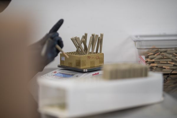 HARBOR HOUSE COLLECTIVE - Updated December 2025 - 71 Photos & 18 ...